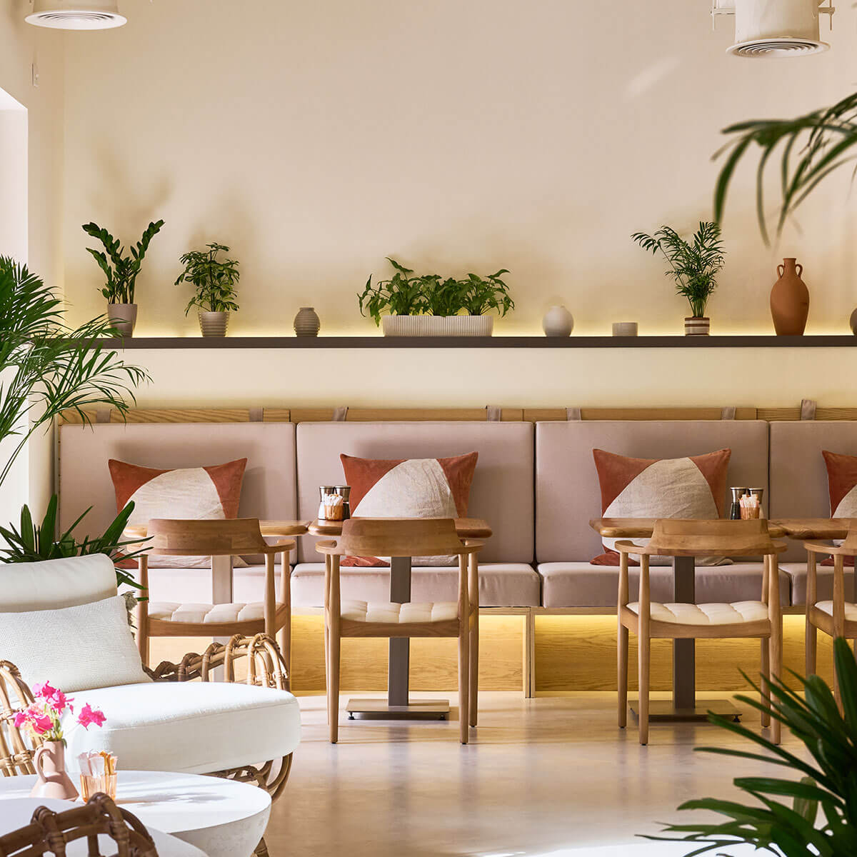 Apricot Dubai - Teedot Creative